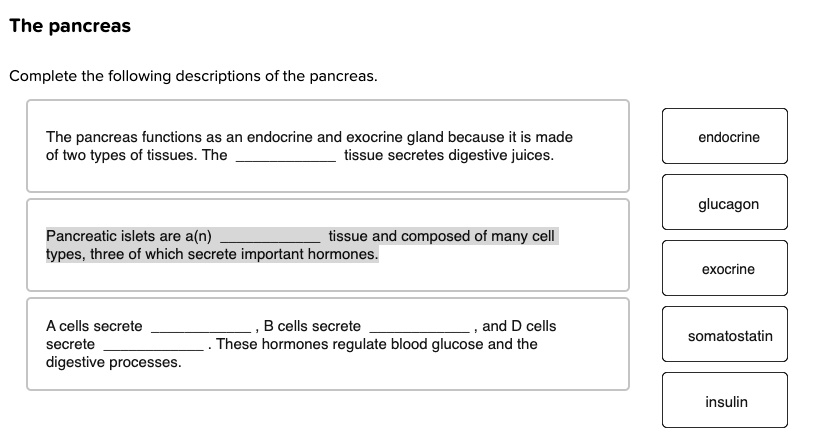 the pancreas complete the following descriptions of the pancreas the ...