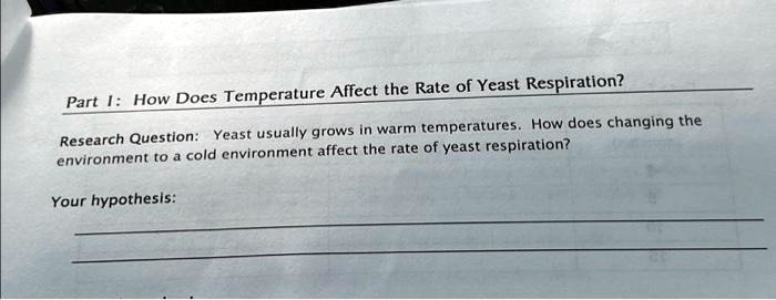 Part I: How Does Temperature Affect the Rate of Yeast...