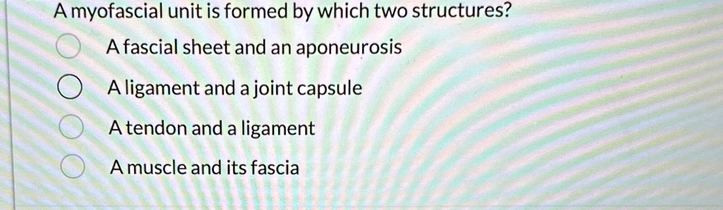 a myofascial unit is formed by which two structures a fascial sheet and ...
