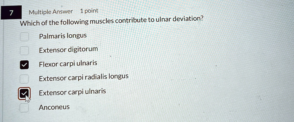 7 multiple answer 1 point which of the following muscles...