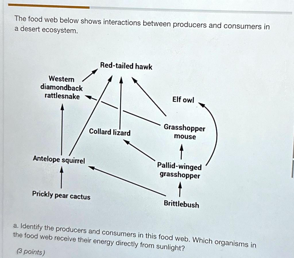 The food web below shows interactions between producers and consumers ...