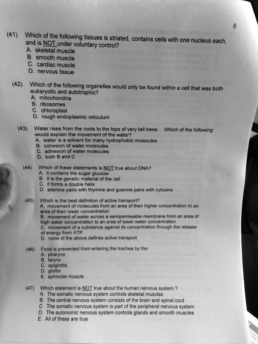 SOLVED: (41) Which of the following tissues is striated, contains cells ...