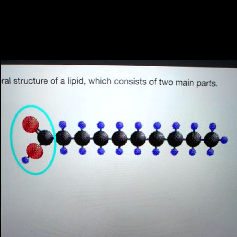 SOLVED: 'the diagram shows the general structure of a lipid l, which consists of two main parts ...