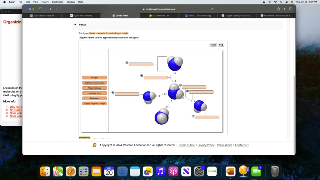 Part A The figure shows how water forms hydrogen bonds. Drag the labels ...