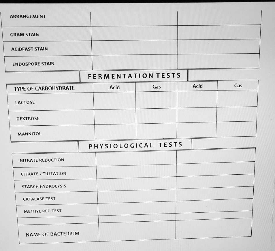 SOLVED: ARRANGEMENT GRAM STAIN ACIDFAST STAIN ENDOSPORE STAIN ...
