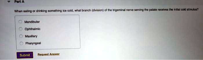SOLVED: PRA When eating or drinking something ice cold, what branch ...