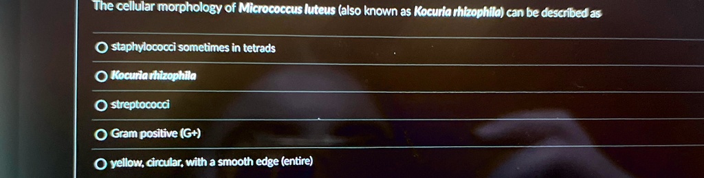 SOLVED: The cellular morphology of Micrococcus luteus (also known as ...