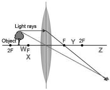 a ray diagram is shown which letter represents the location of the ...