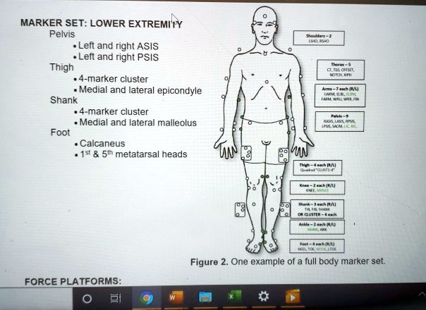 marker set lower extremity pelvis left and right asis left and right ...