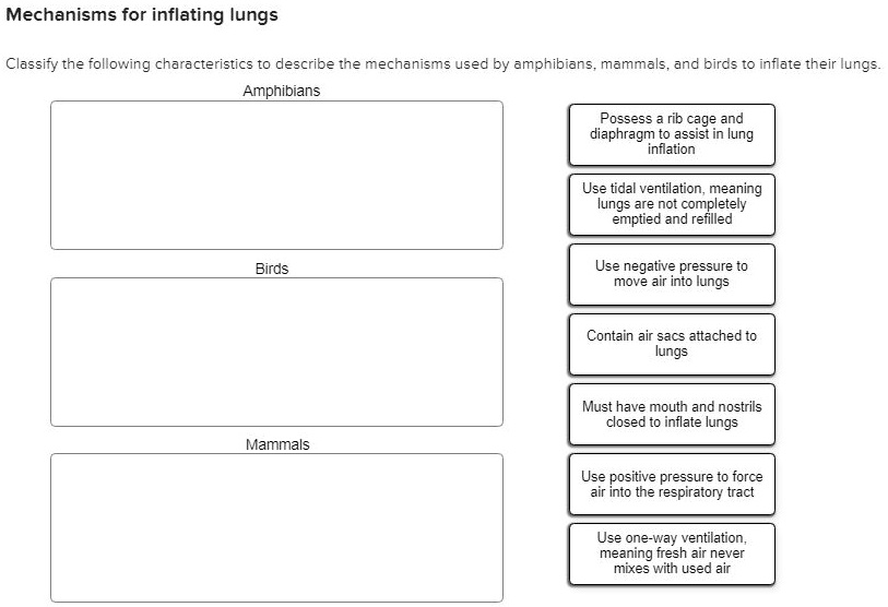 SOLVED: Mechanisms for Inflating Lungs Classify the following ...