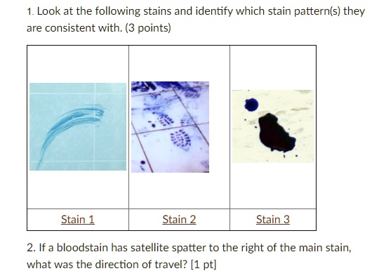look at the following stains and identify which stain patterns they are ...