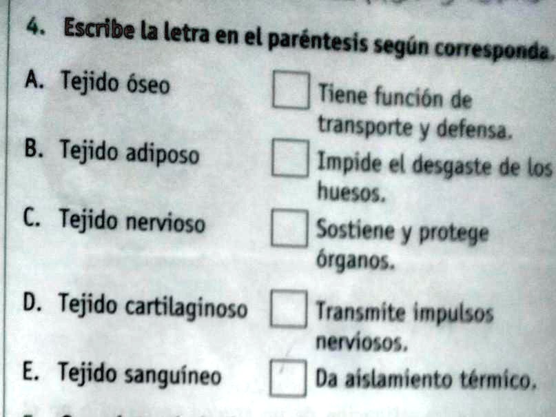 SOLVED: doy coronita porfa ayúdenme lo necesito 4 Escribe la letra en ... SOLVED: doy coronita porfa ayúdenme lo necesito 4 Escribe la letra en ...