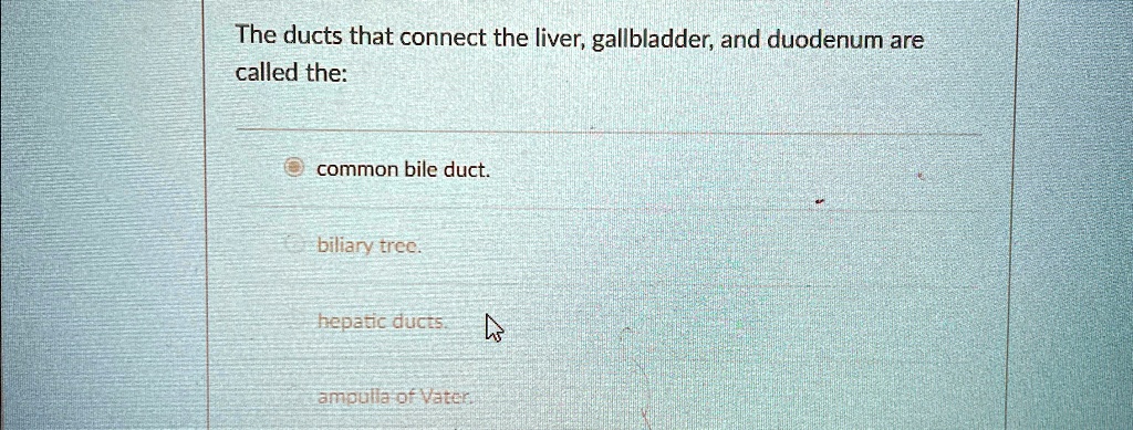 The ducts that connect the liver, gallbladder, and duodenum are called ...