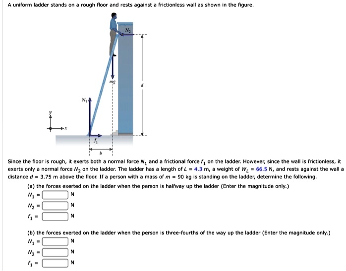 SOLVED:unironm ladder stands rough floon and rests against frictionless wall as shown in the ...