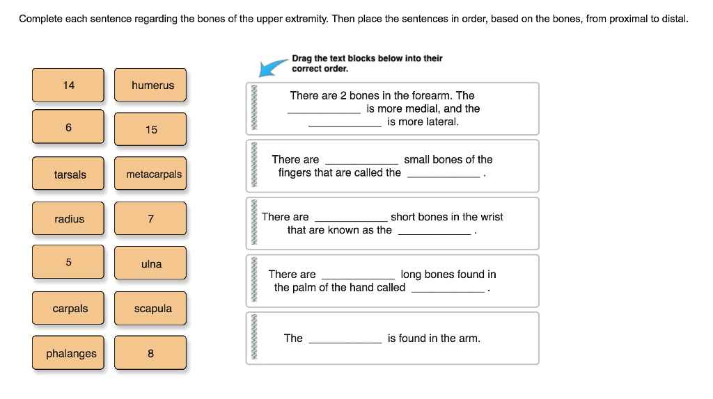SOLVED: Complete each sentence regarding the bones of the upper ...