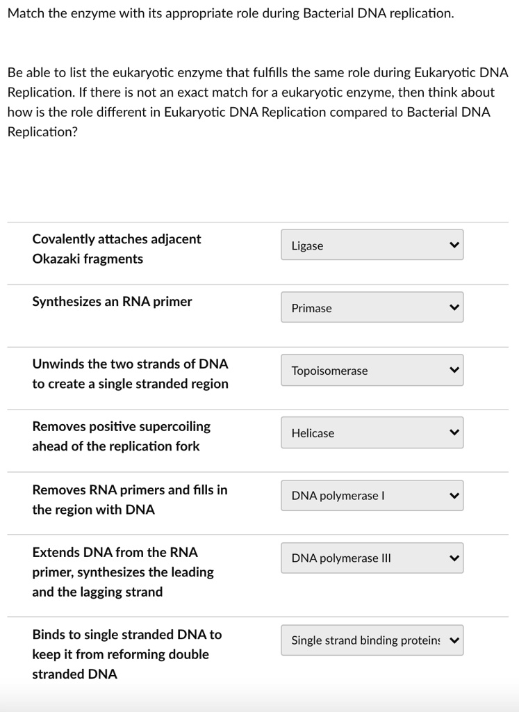 SOLVED Match The Enzyme With Its Appropriate Role During Bacterial DNA solved-match-the-enzyme-with-its-appropriate-role-during-bacterial-dna
