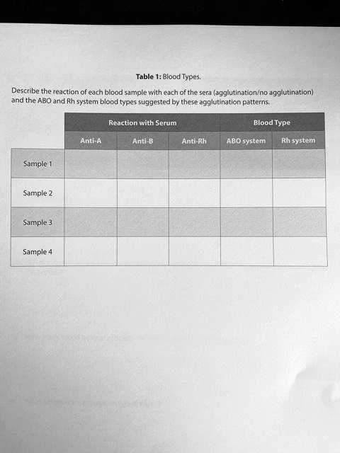 Table 1: Blood Types. Describe the reaction of each blood sample with ...