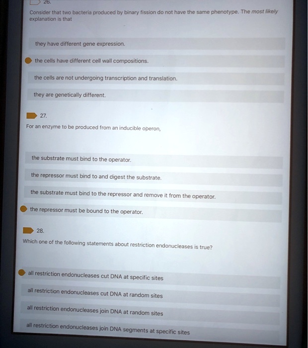 SOLVED: Consider that two bacteria produced by binary fission do not ...