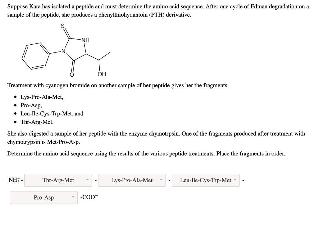SOLVED: Suppose Kara has isolated a peptide and must determine the ...