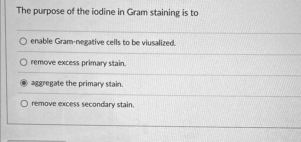 SOLVED: The purpose of the iodine in Gram staining is to enable Gram ...