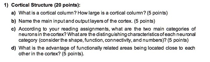 SOLVED: Cortical Structure (20 points) a) What is a cortical column ...