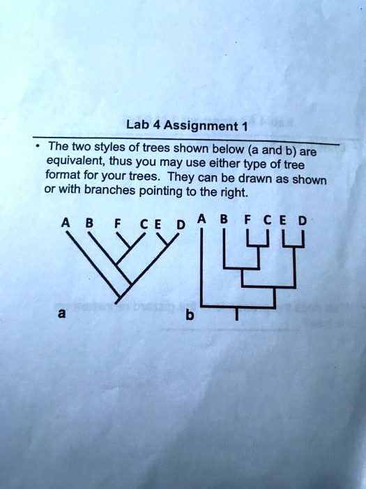 SOLVED: Lab 4 Assignment The two styles of trees shown below (a and b ...