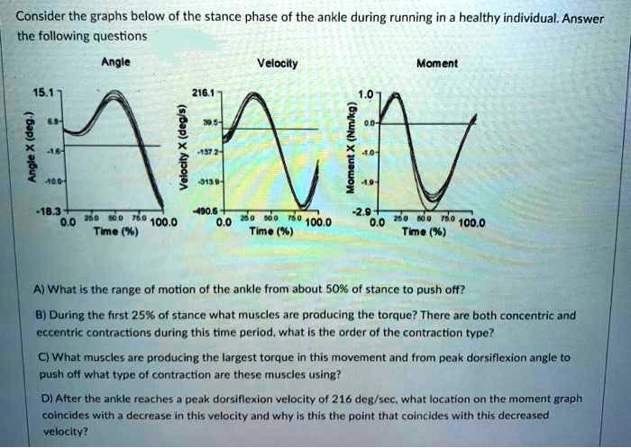 SOLVED: Consider the graphs below of the stance phase of the ankle ...
