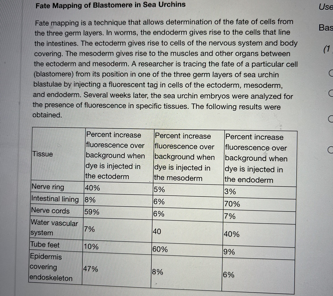 Fate Mapping of Blastomere in Sea Urchins Fate mapping is a technique ...