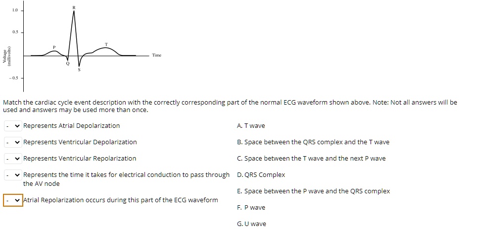 VIDEO solution: Match the cardiac cycle event description with the ...