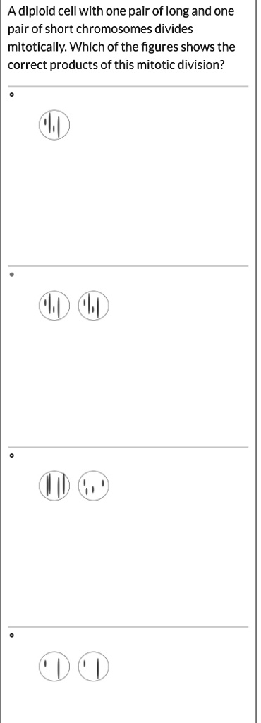 SOLVED: A diploid cell with one pair of long and one pair - of short ...