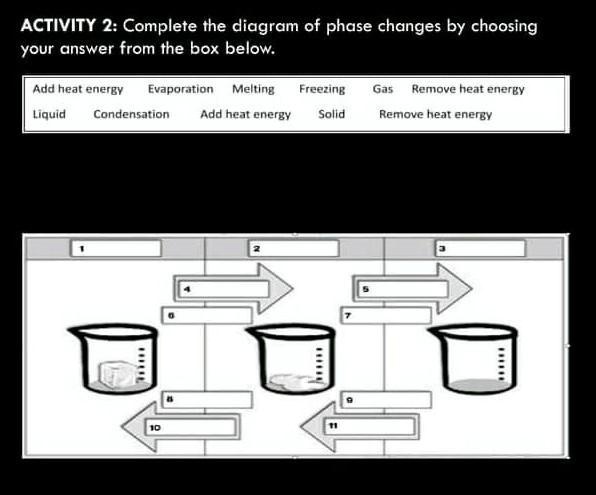 ACTIVITY 2: Complete the diagram of phase changes by choosing your ...