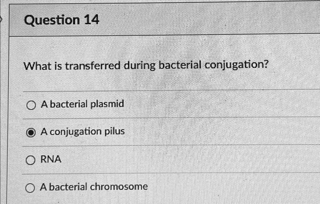 SOLVED: Question 14 What is transferred during bacterial conjugation? A ...