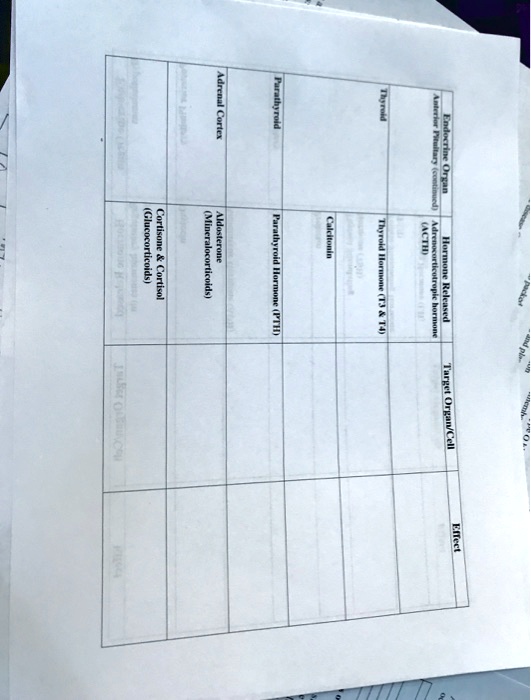 SOLVED: Adrenal Cortex Parathyroid Endocrine Organ (Glucocorticoids ...