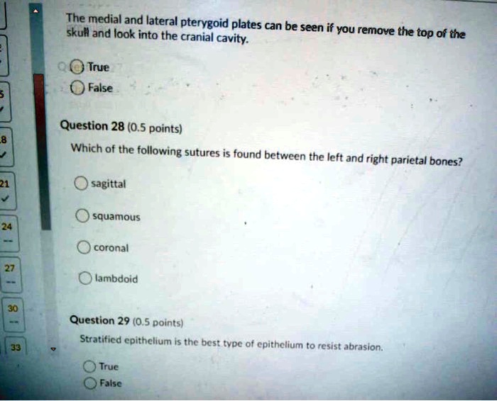 SOLVED: The medial and lateral pterygoid plates can be seen if you ...
