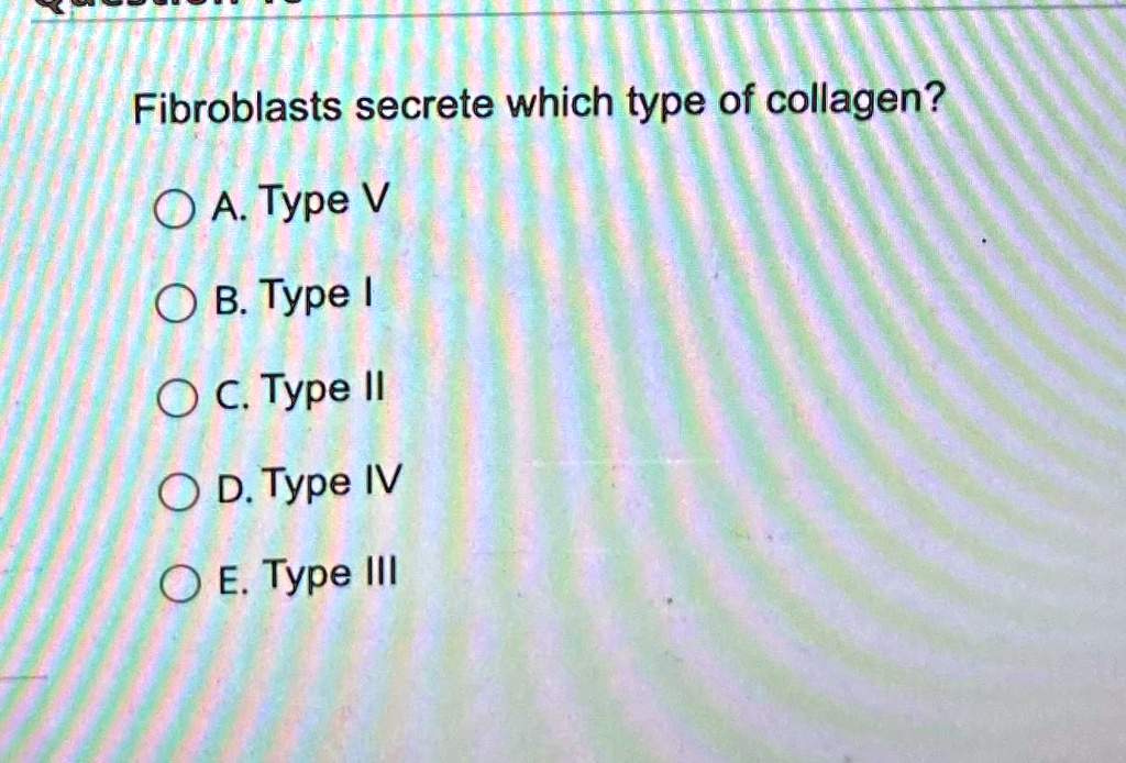 Fibroblasts secrete which type of collagen? A. Type V B. Type I C. Type ...