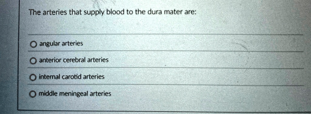 the arteries that supply blood to the dura mater are angular arteries anterior cerebral arteries ...
