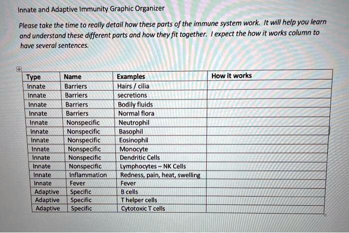 innate and adaptive immunity graphic organizer please take the time to ...