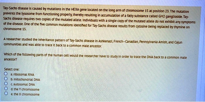 SOLVED: Tay-Sachs dlsease caused by mutations In the HEXA gene located ...