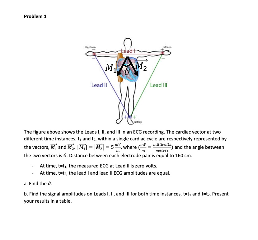 SOLVED: Problem 1 Right arm M1 M2 Lead II Lead III The figure above ...