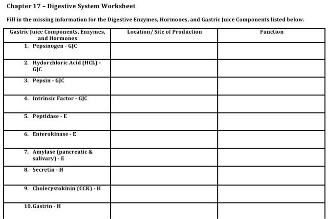 SOLVED: Chapter 17 - Digestive System Worksheet Fill in the missing ...