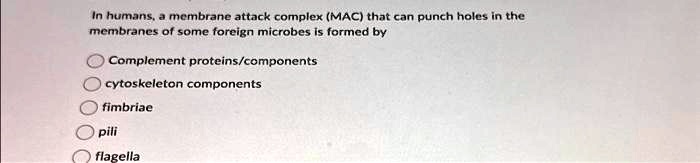 SOLVED: In humans, a membrane attack complex (MAC) that can punch holes ...