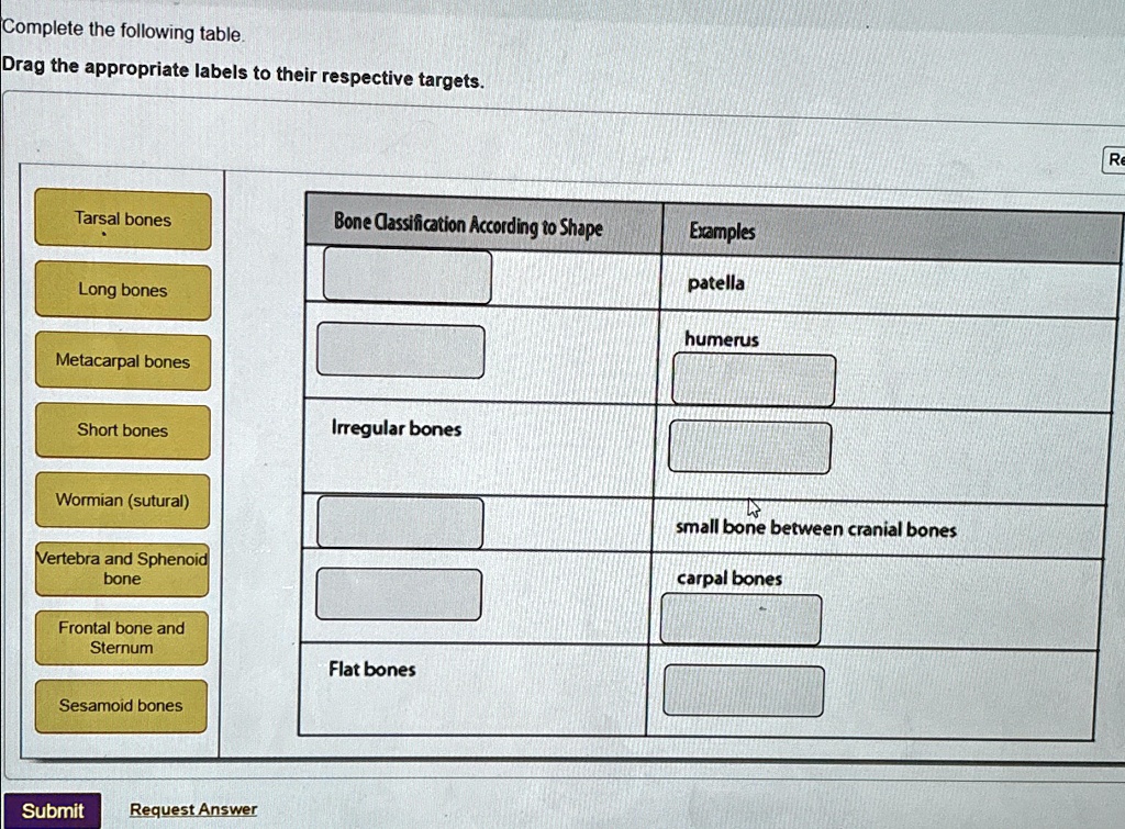 complete the following table drag the appropriate labels to their ...