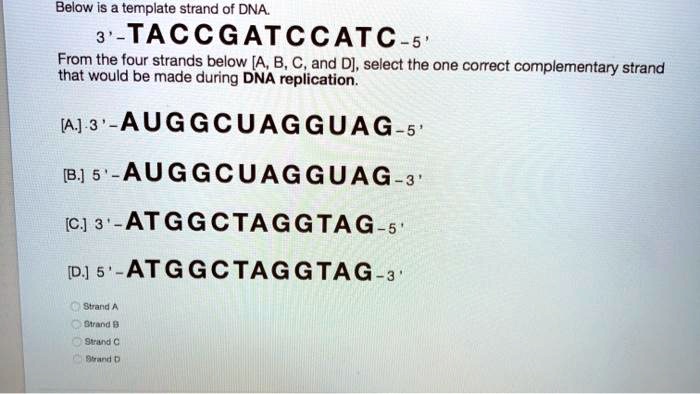 Below is a template strand of DNA 3' - TACCGATCCATC-5'. From the four ...