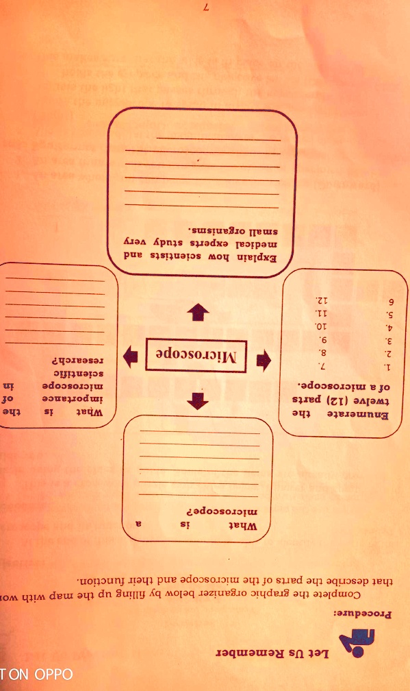 let us remember procedure complete the graphic organizer below by ...