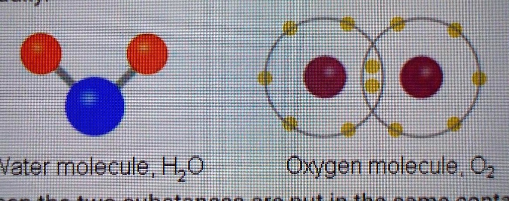 SOLVED: 'PLS HELP! Two molecules are shown below. In the molecule on ...