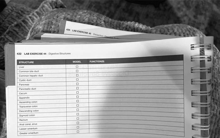 SOLVED: 432 LAB EXERCISE 44 - Digestive Structures STRUCTURE Liver ...