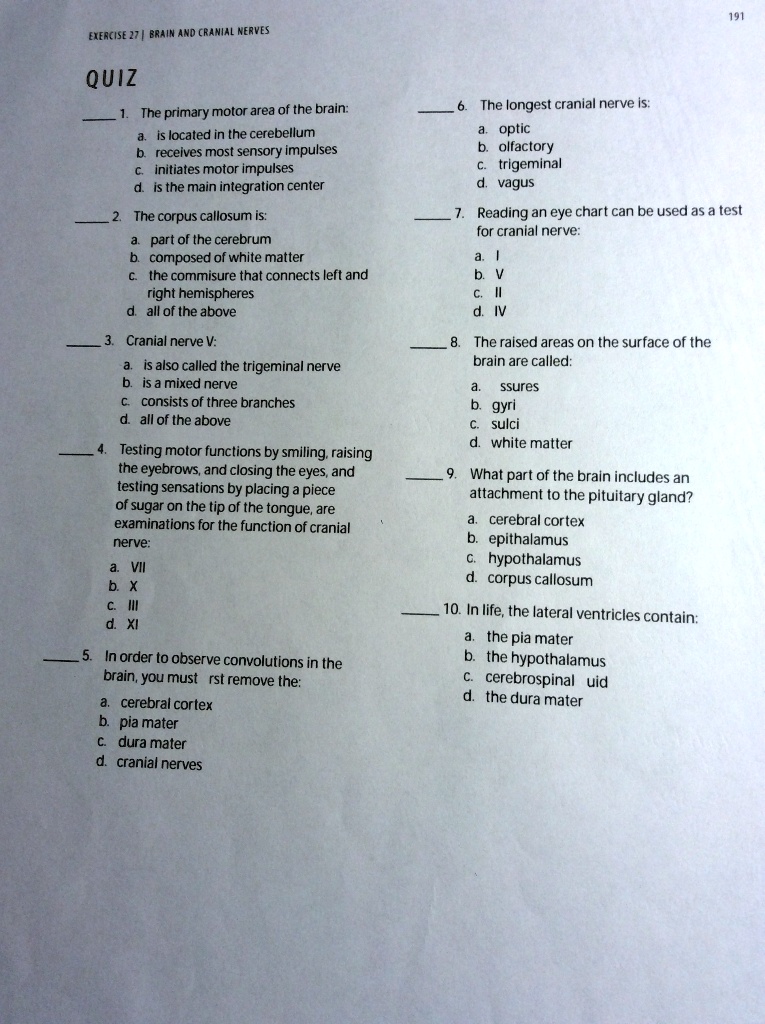 191 exercise271 brain and cranial nerves quiz 1the primary motor area ...