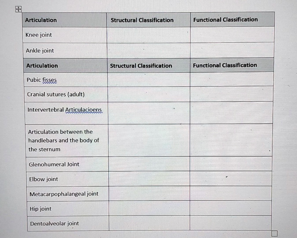 SOLVED: Articulation Structural Classification Functional ... SOLVED: Articulation Structural Classification Functional ...