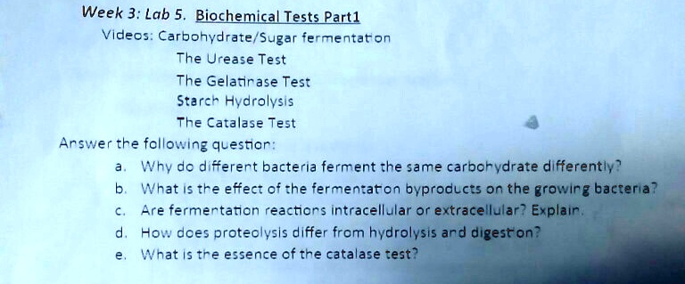 SOLVED: Week 3: Lab 5 Biochemical Tests Partl Videos: Carbohydrate ...