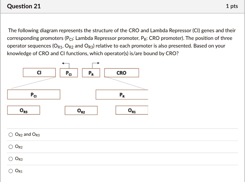 question 21 1 pts the following diagram represents the structure of the ...